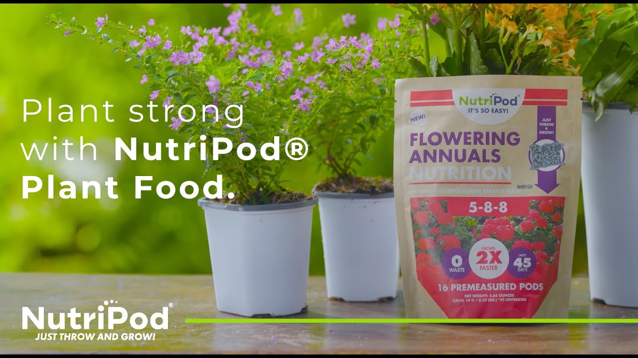 How to Plant Annuals with NutriPod Plant Food - YouTube