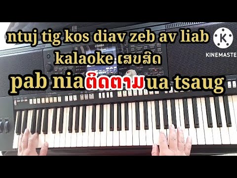 ntuj tig kos diav zeb av liab karaoke ເສບສົດ - YouTube