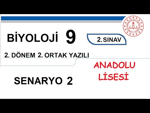 Biyoloji 9. Sınıf 2. Dönem 2. Yazılı MEB Senaryo 2 Soruları (açık uçlu / klasik) Anadolu Lisesi