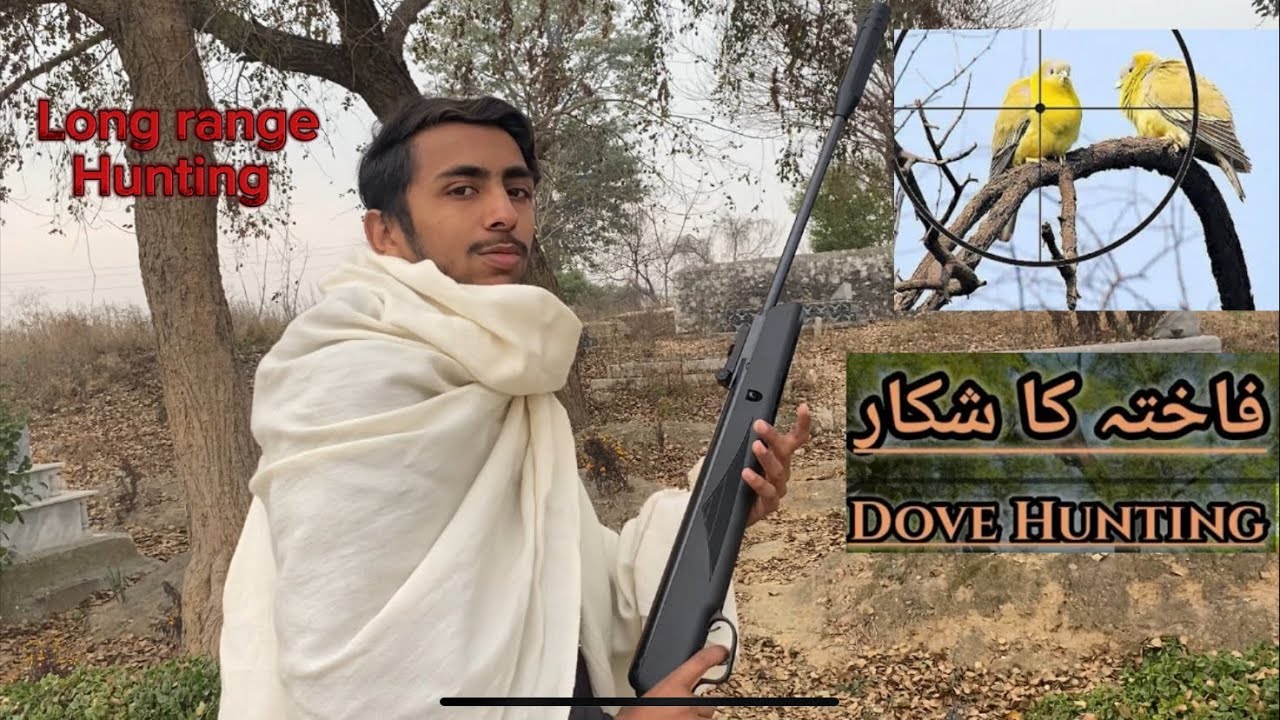 Air gun birds hunting doves hunting 2024 sr1000s air gun - YouTube