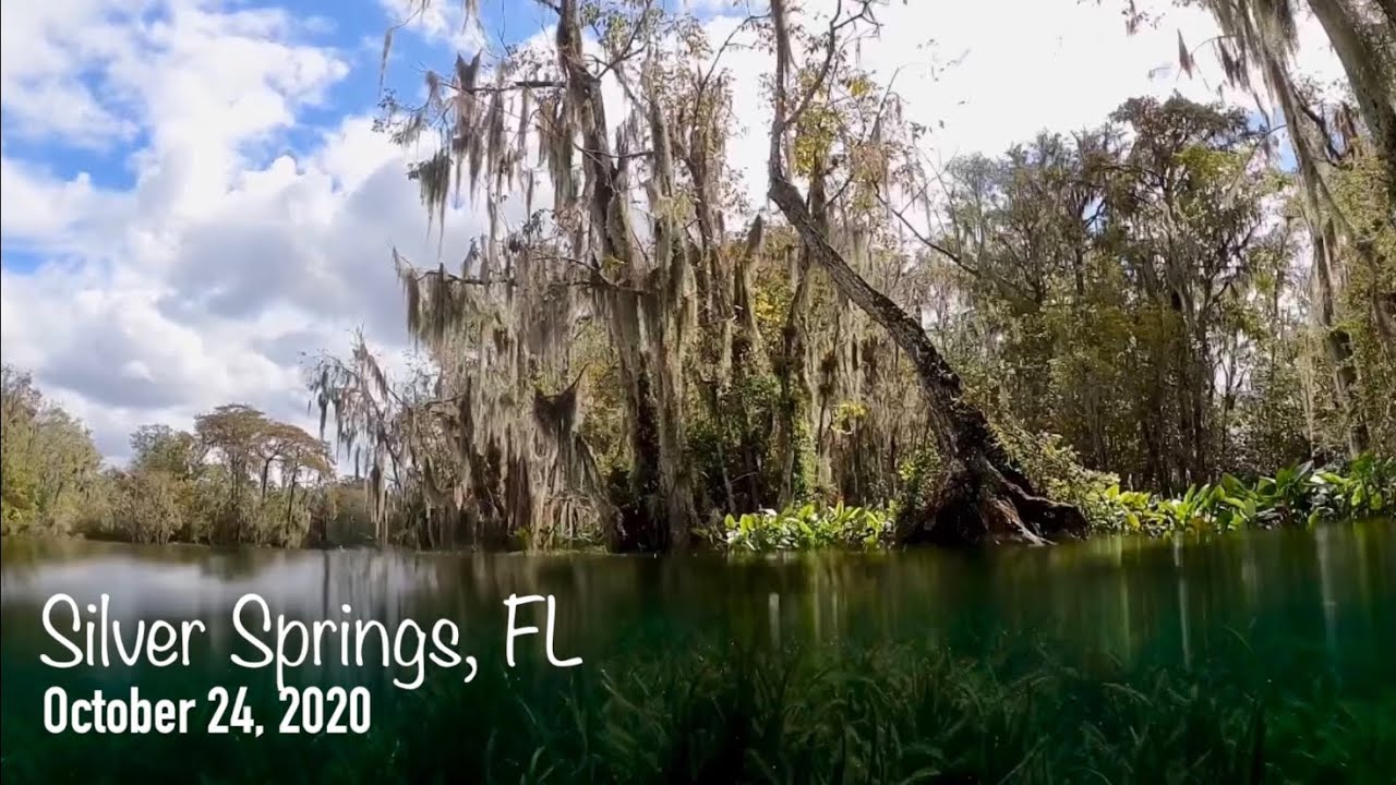 Exploring the Silver Springs River, FL - YouTube