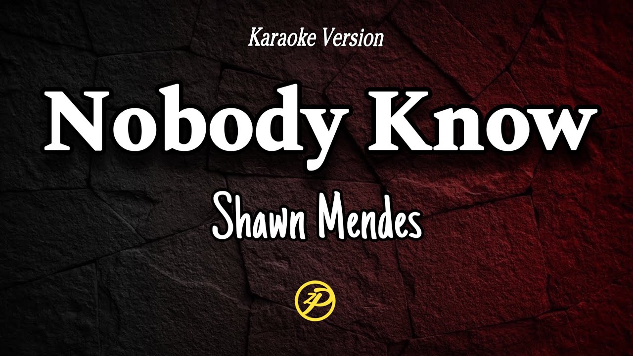 Shawn Mendes - Nobody Knows - karaoke version Lyrics - YouTube