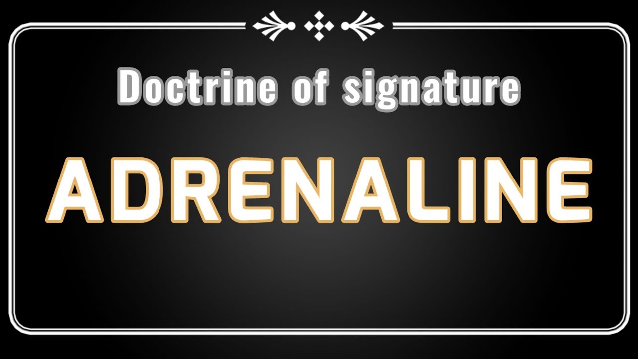 ADRENALINUM- Doctrine of signature cum clinical use - YouTube