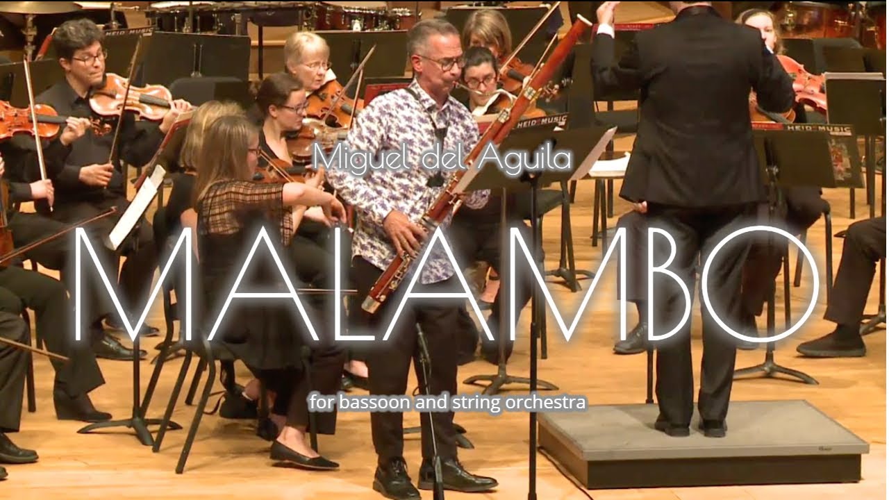 concerto for bassoon and string orchestra MALAMBO complete music Miguel ...