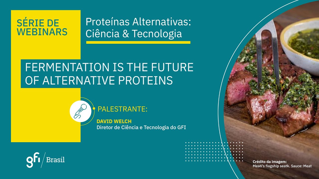Fermentation is the future of alternative proteins - YouTube