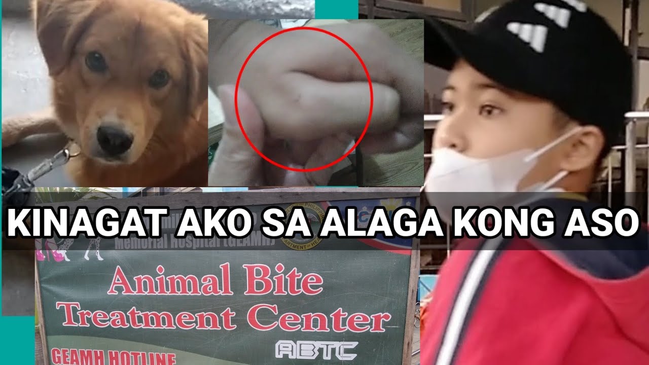 Animal bite treatment center dito sa General Emilio Aguinaldo Memorial ...