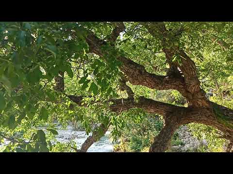sadece su sesi Munzur gözeler ovacık Tunceli