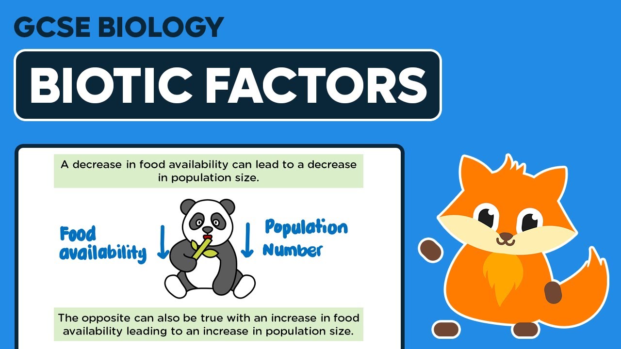 Biotic Factors - GCSE Biology - YouTube