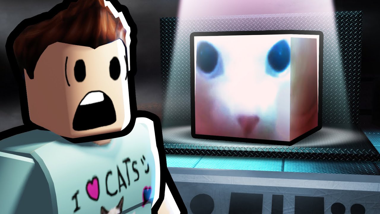 Roblox Bingus' Basement (raise a floppa 2) - YouTube