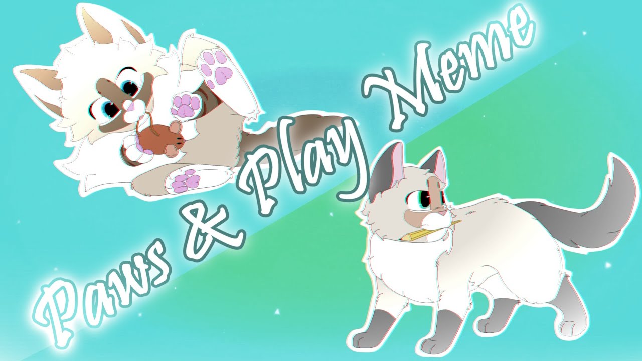 "Paws & Play" Animation Meme [My Cats] - YouTube