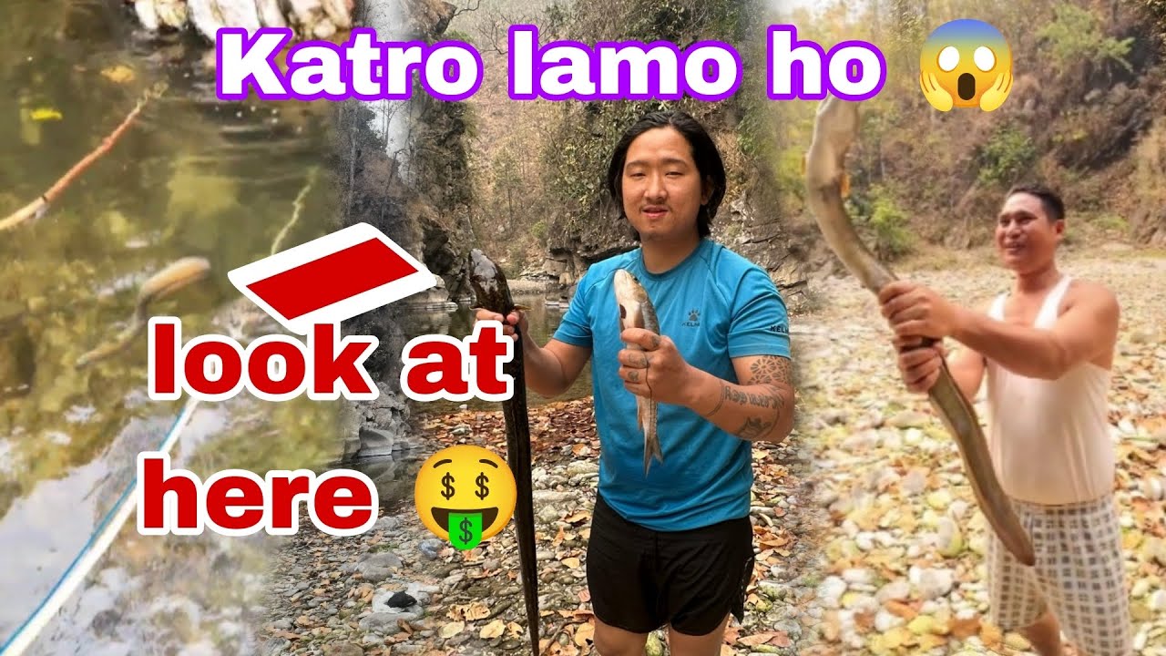 3 feet Bam Machha 😱 || 6 kg machha 🤑|| Thopal khola ko local machha🔥 # ...