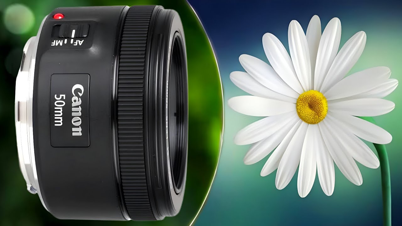 Canon 50mm Prime Lens Videography Test | MR techBD - YouTube