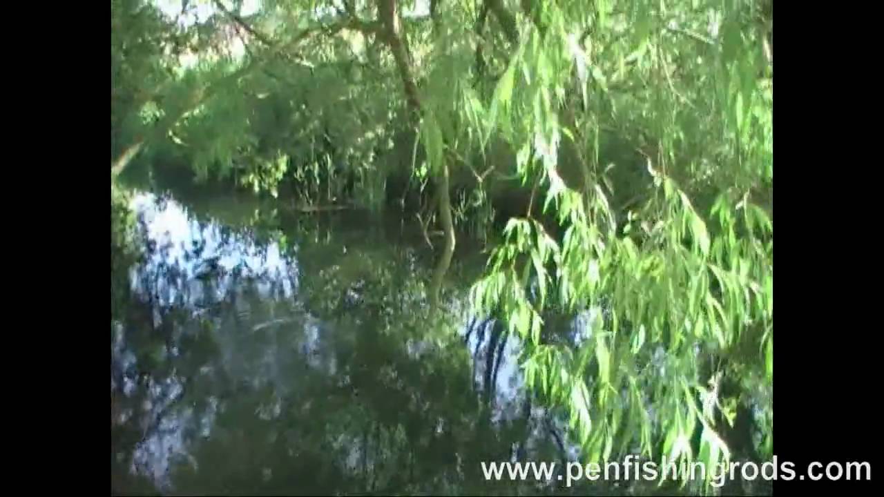 Pen Rod River Fun with Penfishingrods.com - YouTube