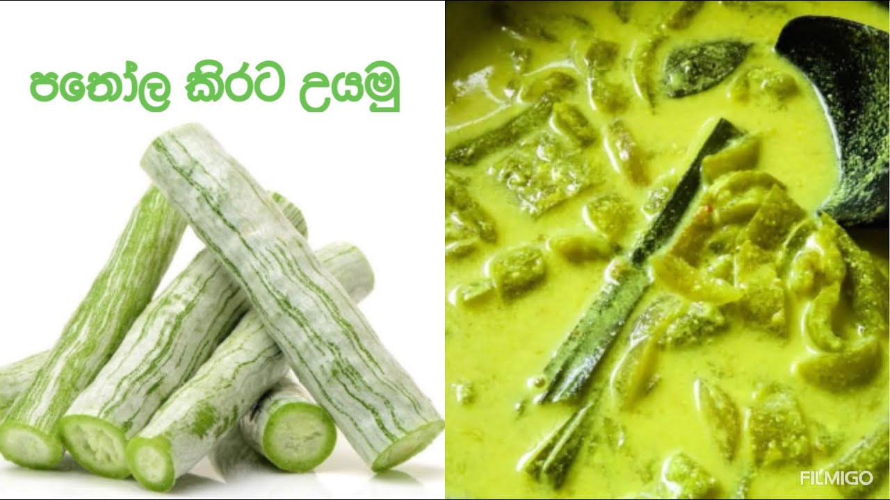 Snake Gourd Coconut Milk Curry(pathola kirata)කිරි රසට පතෝල කරිය - YouTube
