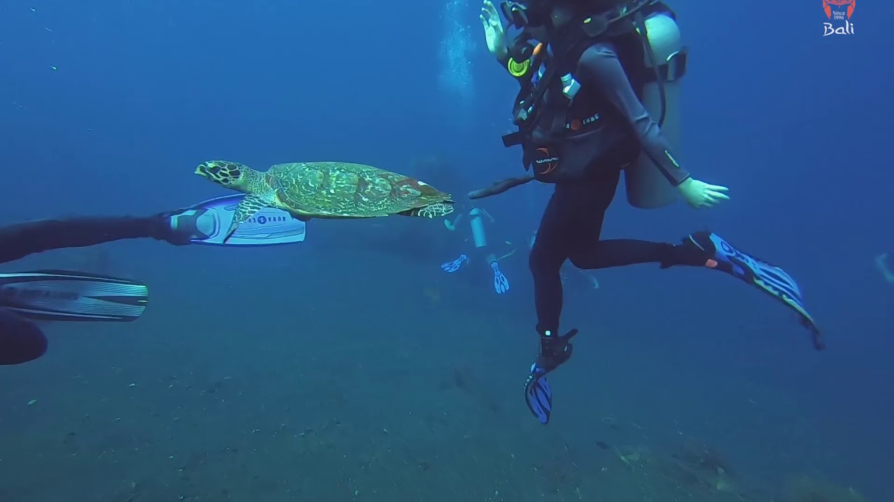 Atlantis Bali Diving in Tulamben, July 4th, 2019 - YouTube