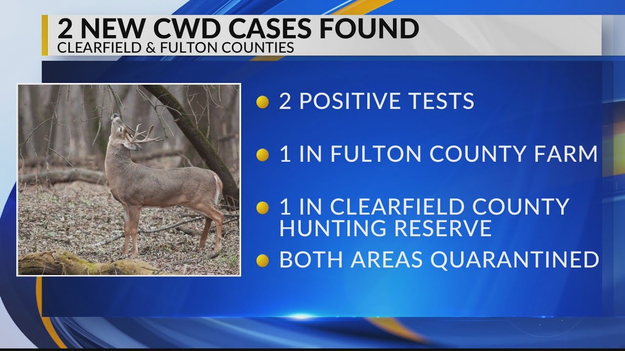 Two new CWD cases found - YouTube