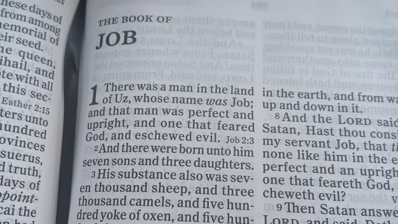 Job Chapters 1-3 - YouTube