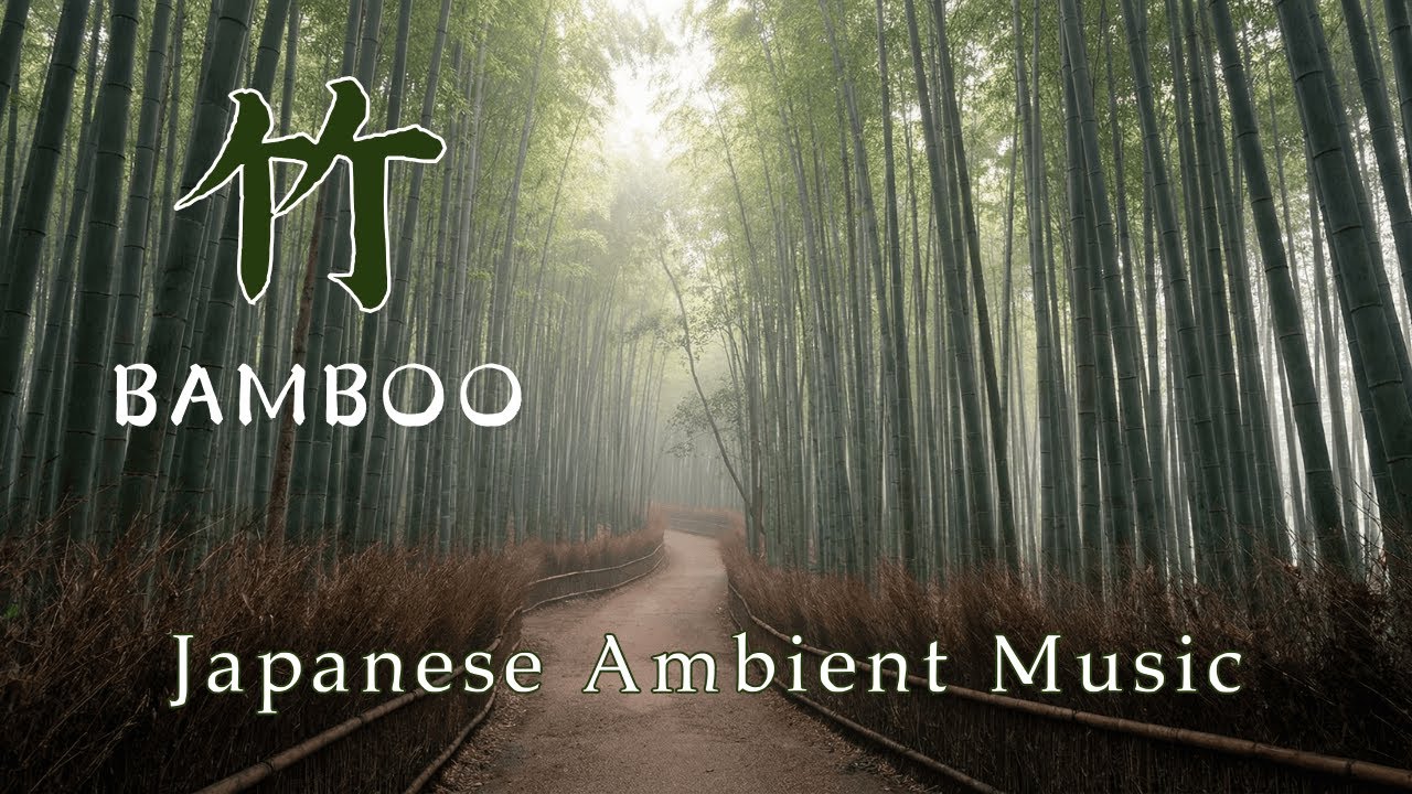 BAMBOO — 竹 — Traditional Japanese Ambience | Yoga & Meditation Music ...