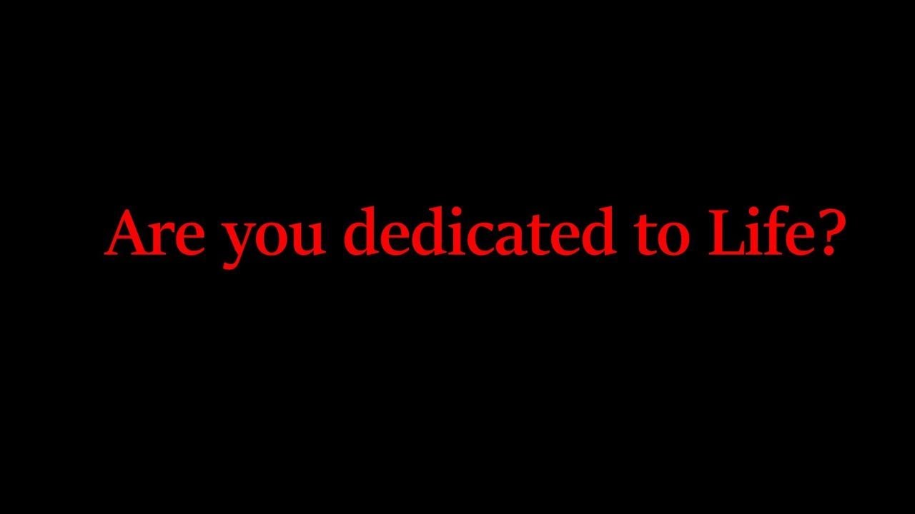 Are you dedicated to Life? - YouTube