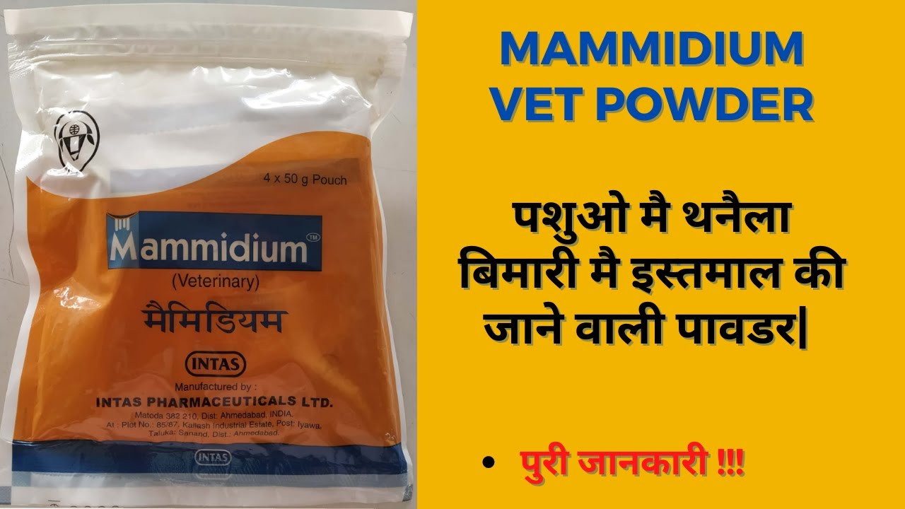 Mammidium Veterinary Powder | पशुओ मैं थनैला बिमारी मै बहुत ही असरदार ...