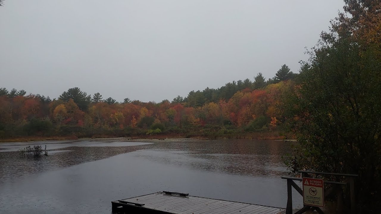 Womp Romp 50k // Ultramarathon - YouTube