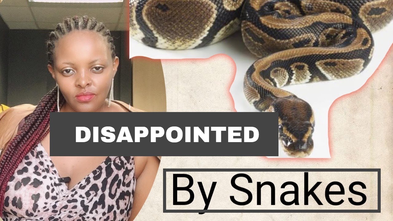 Disappointed by Snakes | #Storytime South African Youtubers - YouTube