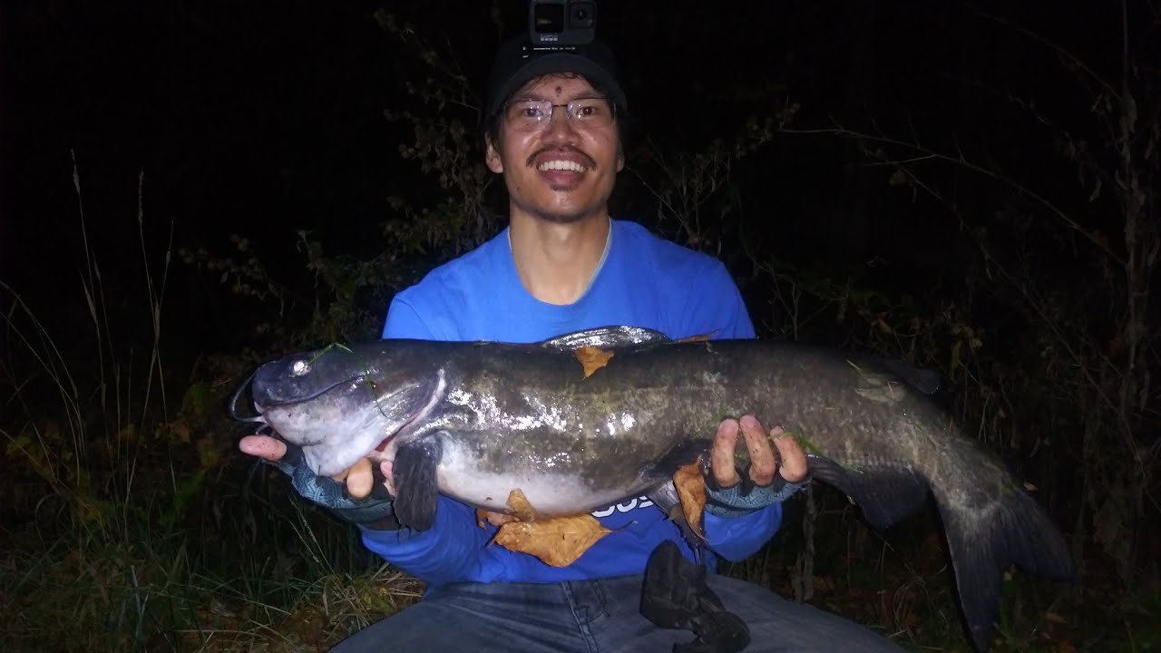 Caught a 14lbs Catfish (PB) while jigging for walleye!! (full vid of ...