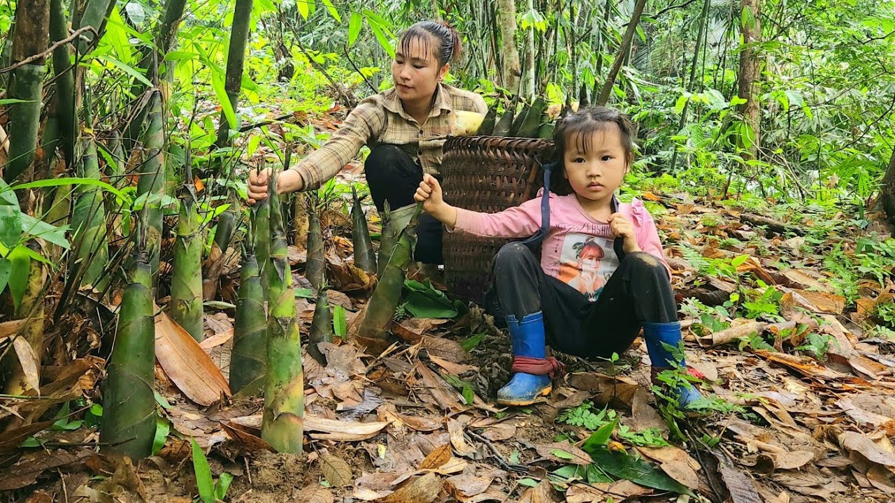 harvesting giant bamboo shoots - simple bamboo shoot preservation ...