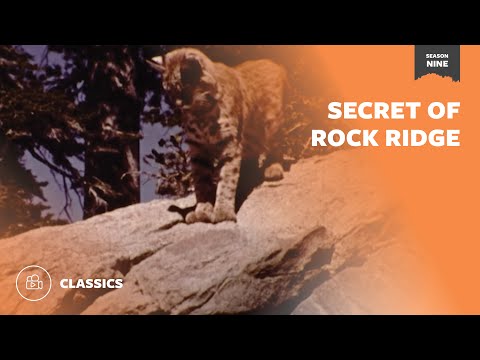 Secret of Rock Ridge | Mutual of Omaha's Wild Kingdom