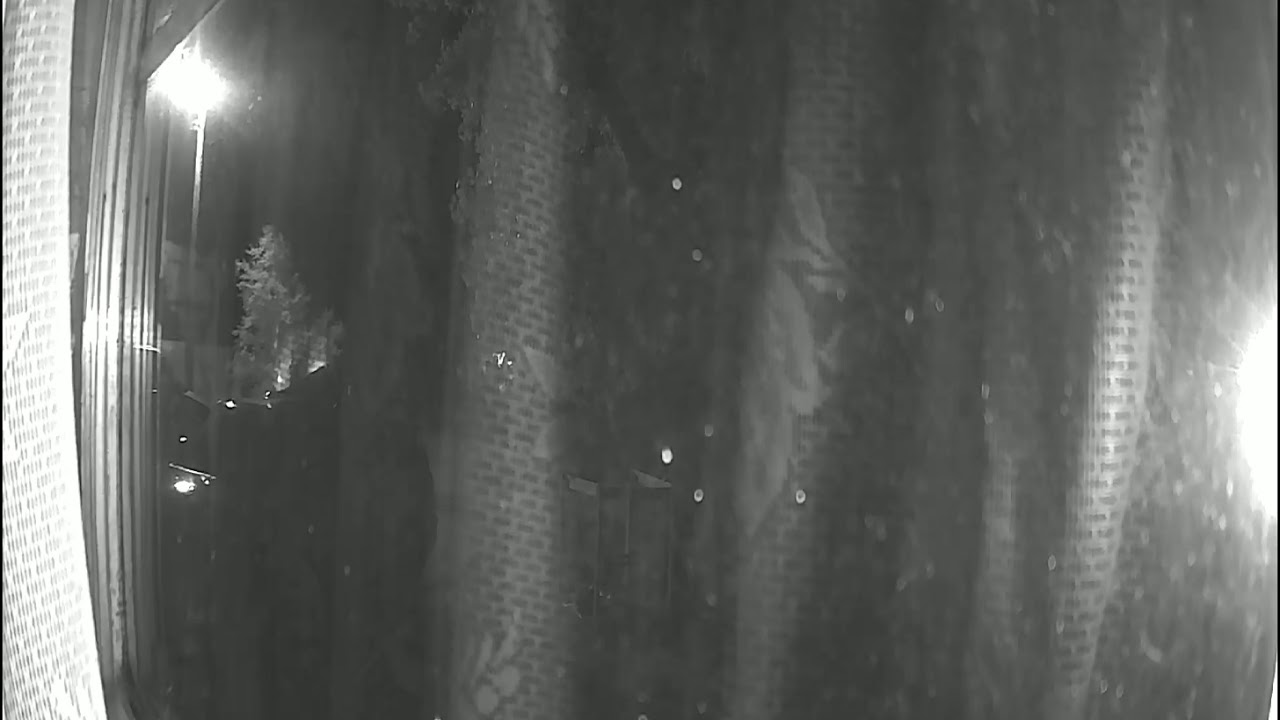 (Unsettling) Dog Crying Out Caught on Security Cam - YouTube