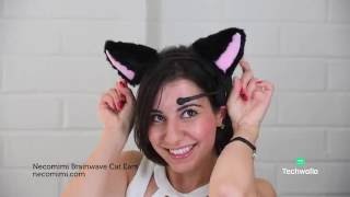 Necomimi Ears And Tail