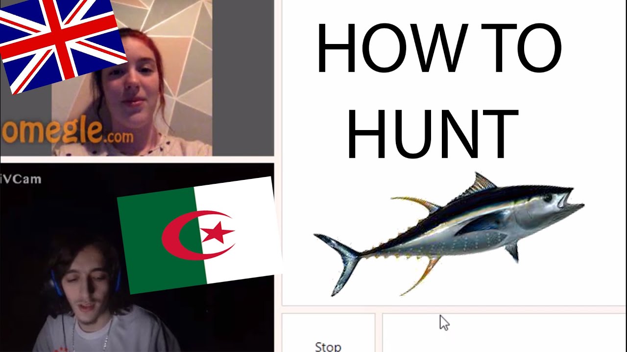 OMEGLE PART 3 : HOW TO HUNT TUNA - YouTube