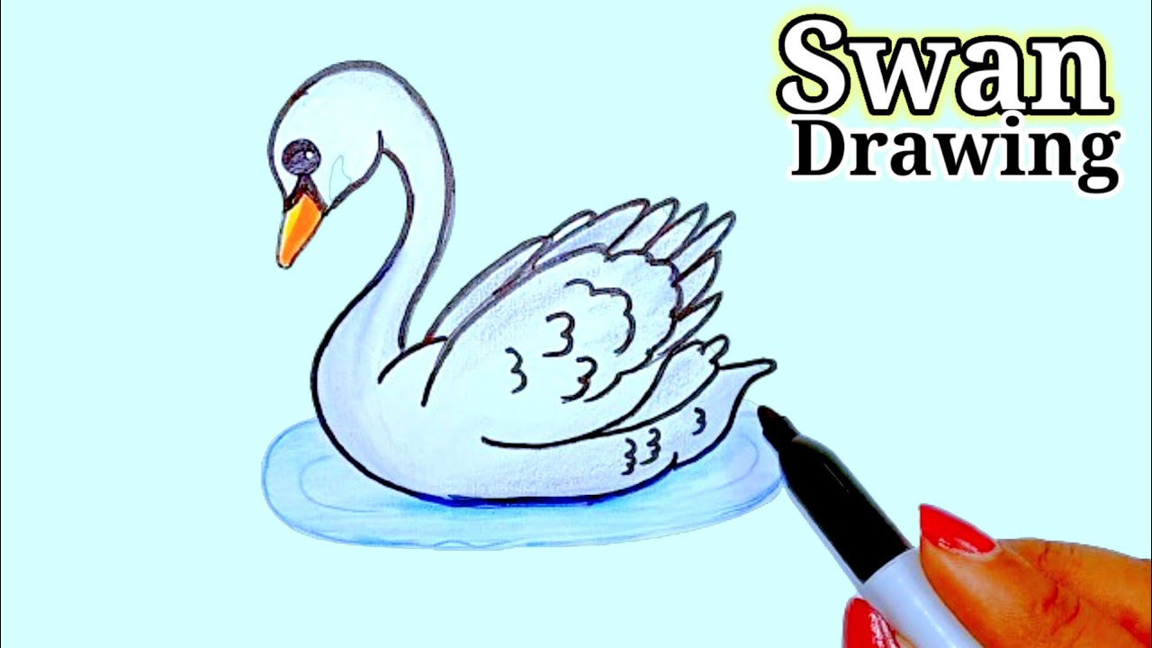 How to draw a Swan step by step/Swan drawing easy/Kids art and craft1 ...