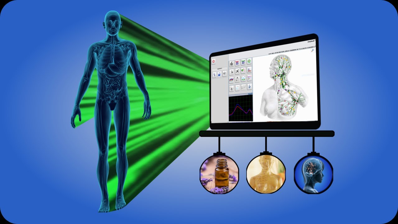 01: A Gut Bio Health Scan: Pathways to health with bioresonance - YouTube