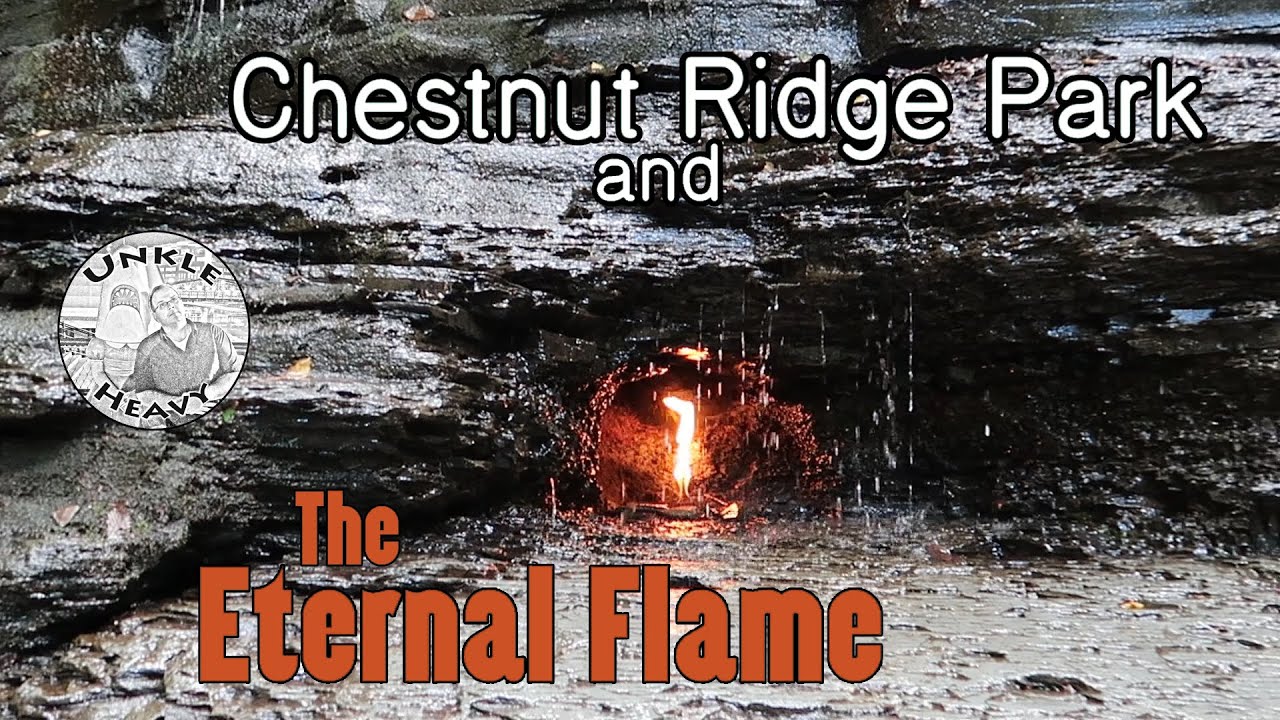 Chestnut Ridge Park – Orchard Park, NY – Exploring the Park and the ...