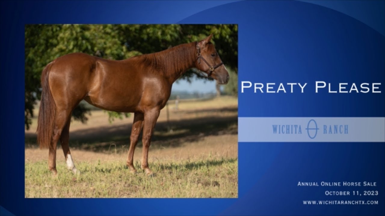 Preaty Please - YouTube