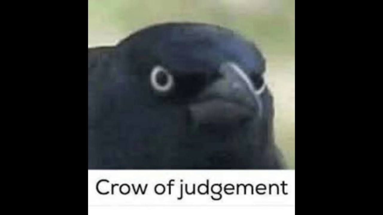 crow of judgement - YouTube
