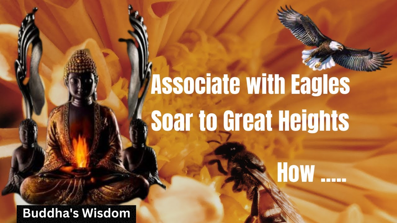 Associate with Eagles, Soar to Great Heights-Buddha's Teachings ...
