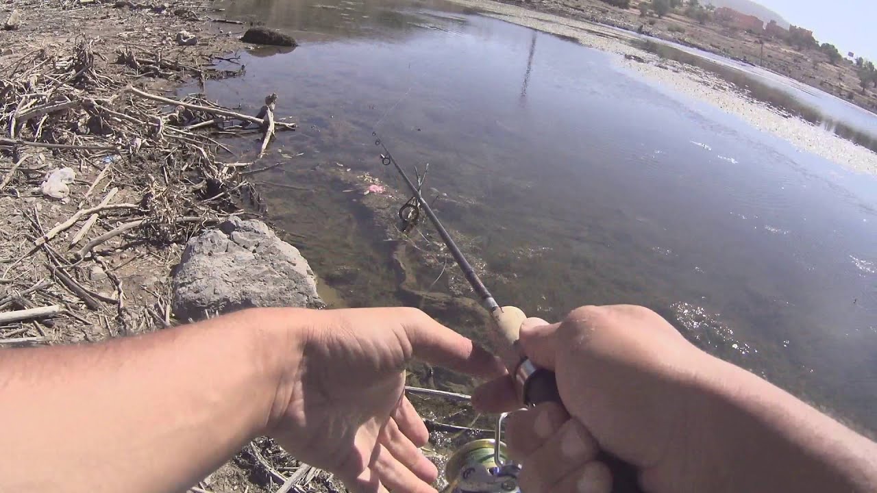 Black bass attacks top water lure - YouTube