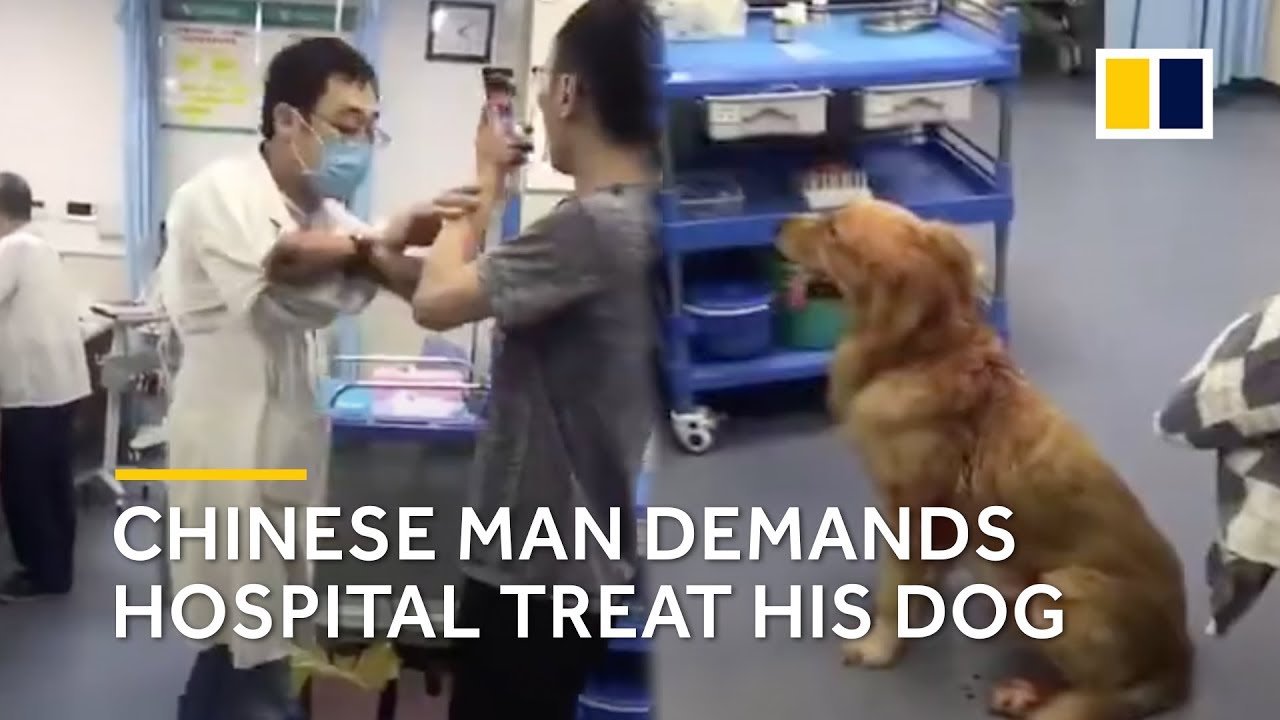 Chinese man demands hospital treat his dog - YouTube