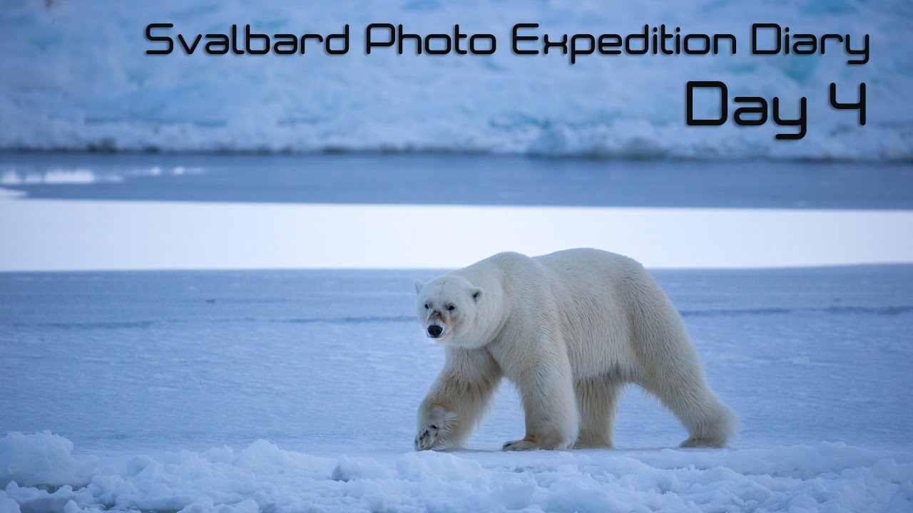 2015 Svalbard Photo Expedition - Day 4 - YouTube