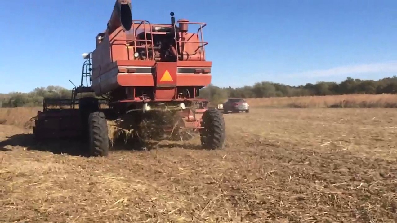1480 international combine - YouTube
