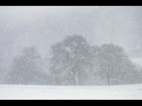 Snow Slow Motion 2015 - YouTube