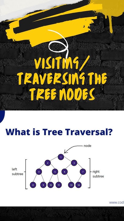 Tree Traversal Explained in Tamil | Types Of Tree Traversals # ...