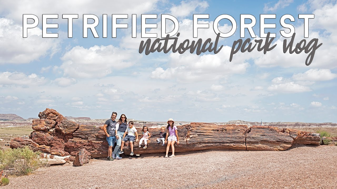 Let's Explore the Petrified Forest! | National Park Family Vlog - YouTube