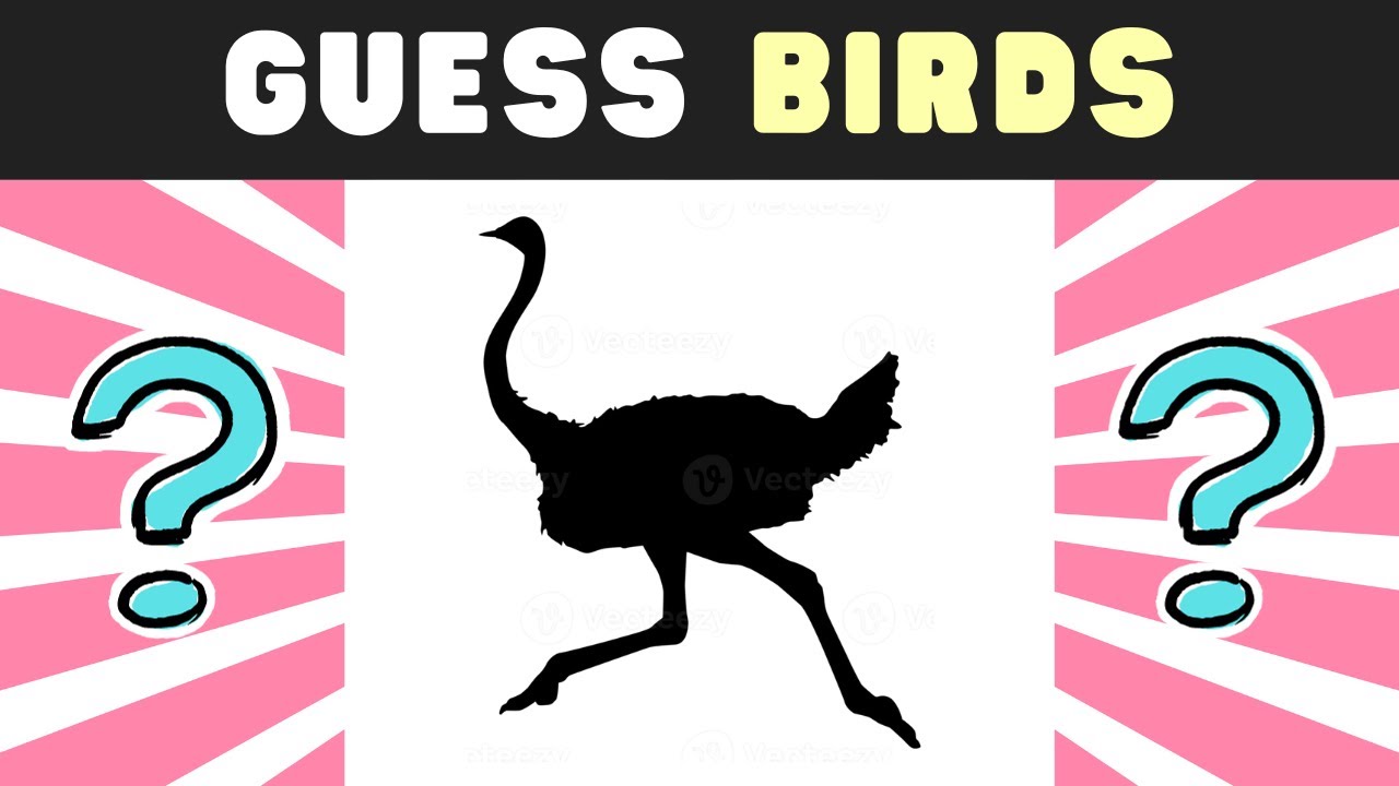 Can You Guess Birds by Shadow🦜 | Shadow Game 🎲 | Dove, Peacock, Eagle ...