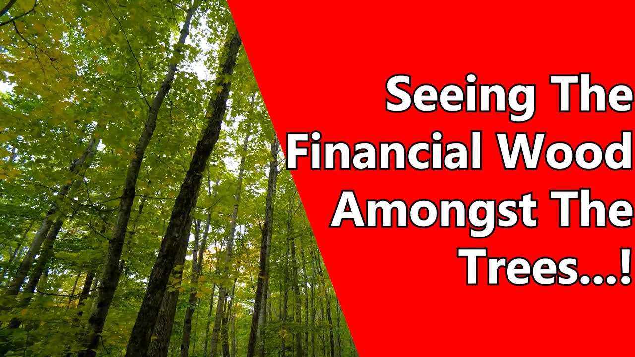 Seeing The Financial Wood Amongst The Trees...! - YouTube
