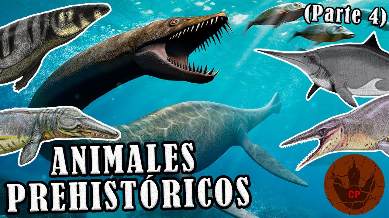 10 ANIMALES PREHISTÓRICOS QUE NO CONOCÍAS (PARTE 4) - EDICIÓN REPTILES ...