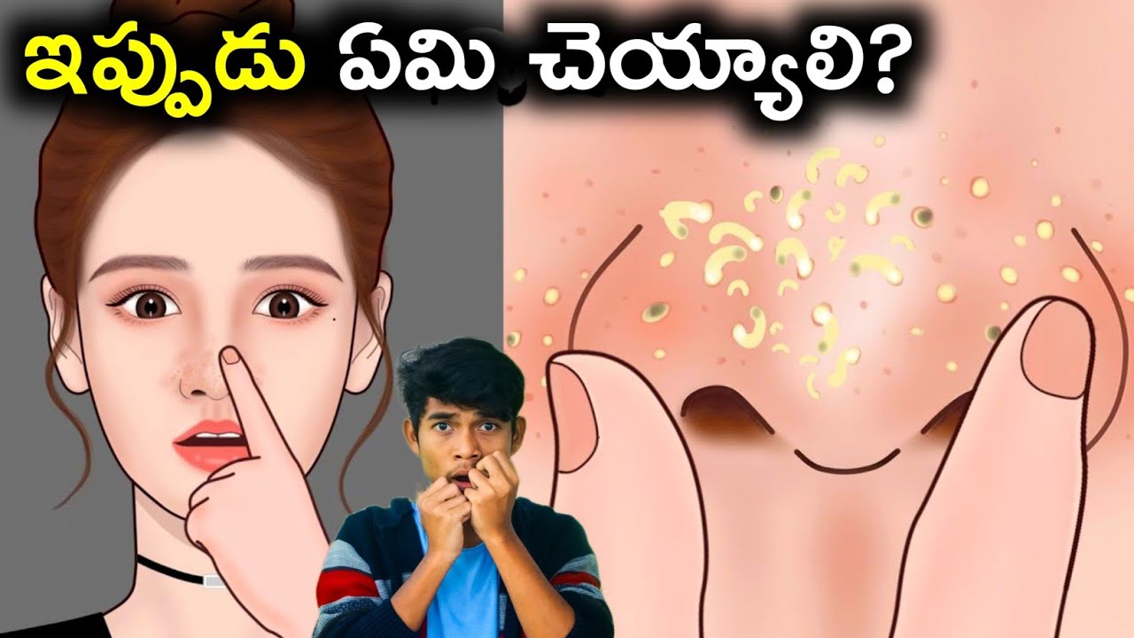 YOU WILL SHOCK TOP 10 INTERESTING FACTS IN TELUGU DHRUVA FACTS you-will-shock-top-10-interesting-facts-in-telugu-dhruva-facts
