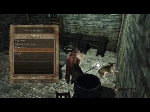 Sweet Shalquoir (The Cat) / Dark Souls 2: SotFS - YouTube